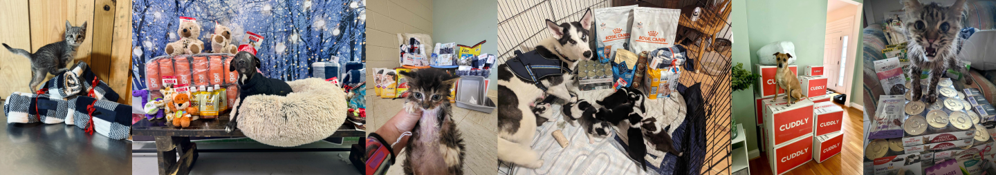 Join the CUDDLY Club – CUDDLY Shop