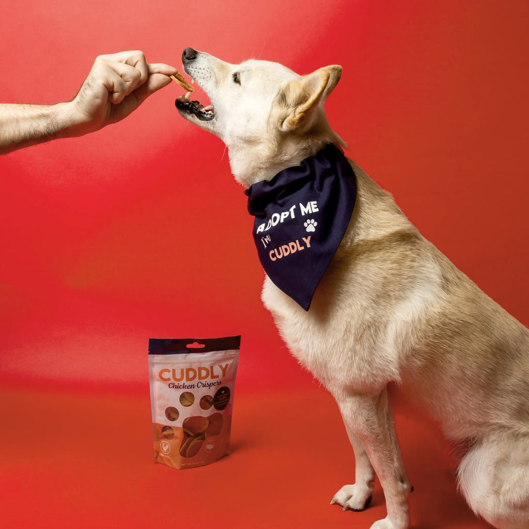 Buy Pet Food and Supplies That Help Shelter Animals | CUDDLY Shop
